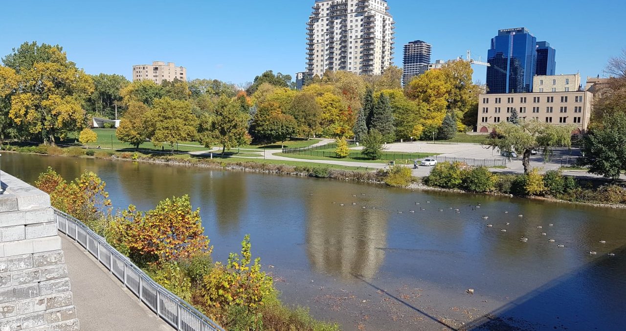 London's Urban Growth Strategy - ReForest London