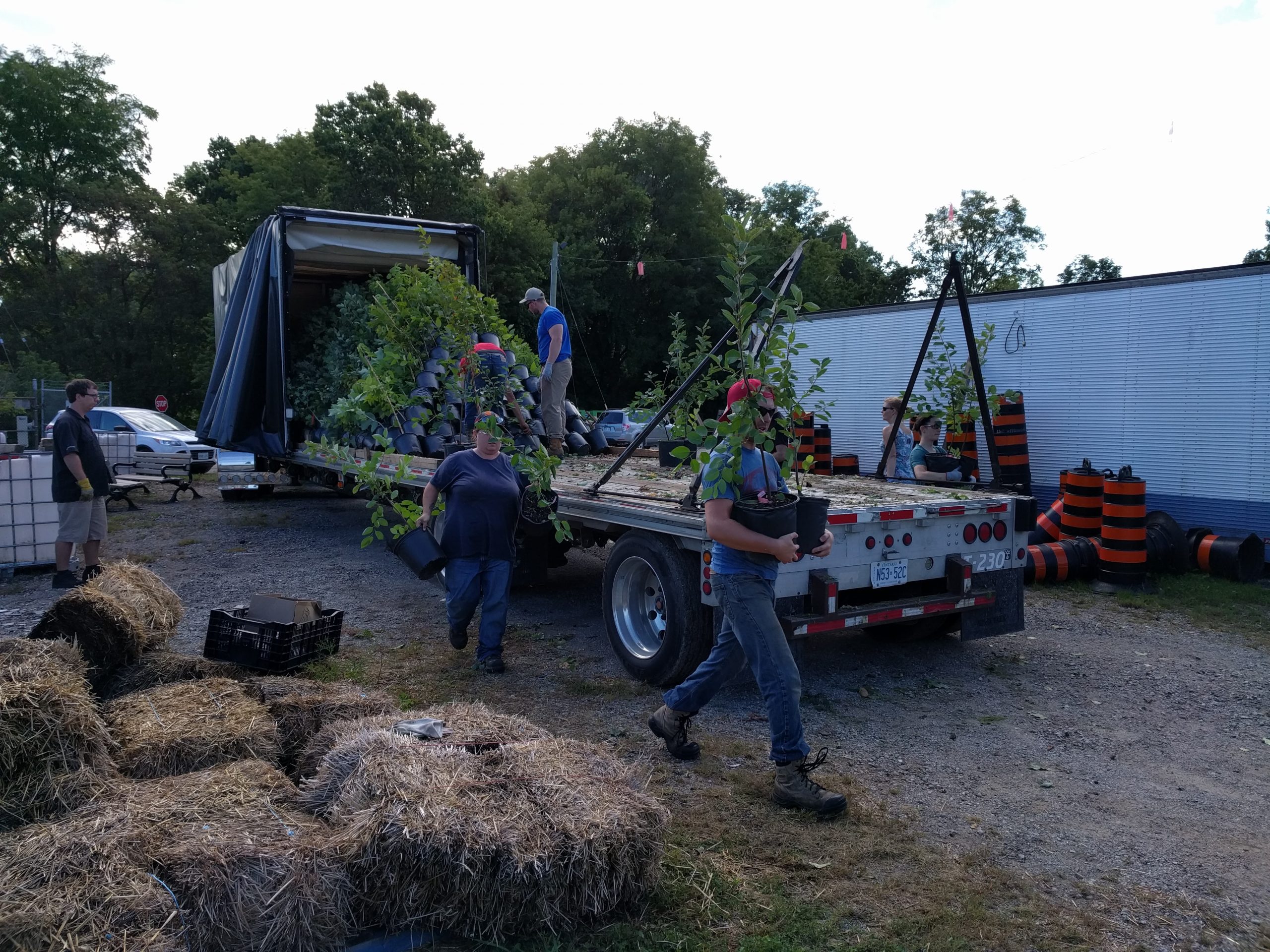 A Super Leafy Week in London - ReForest London