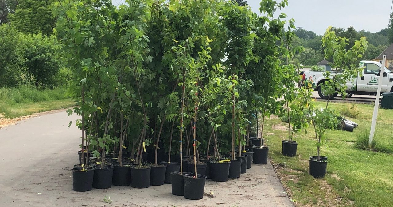 Our Suppliers - ReForest London