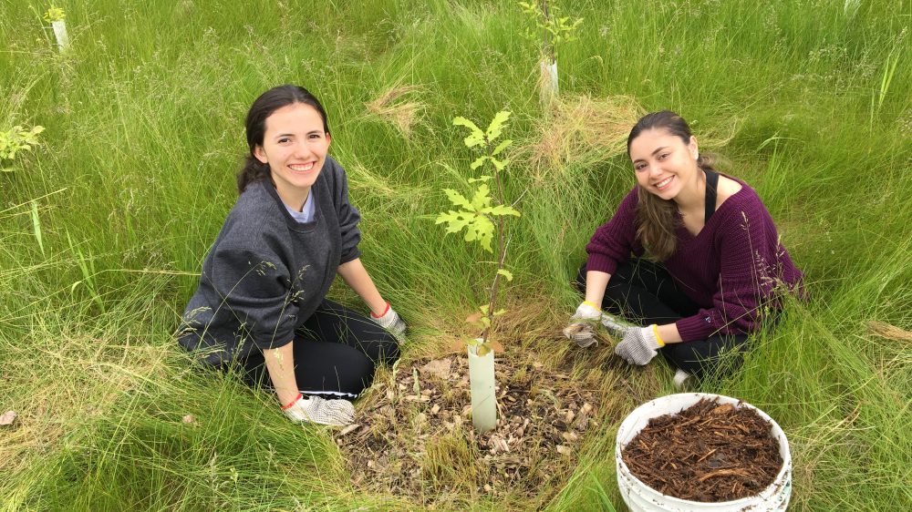 Programs Archive - ReForest London