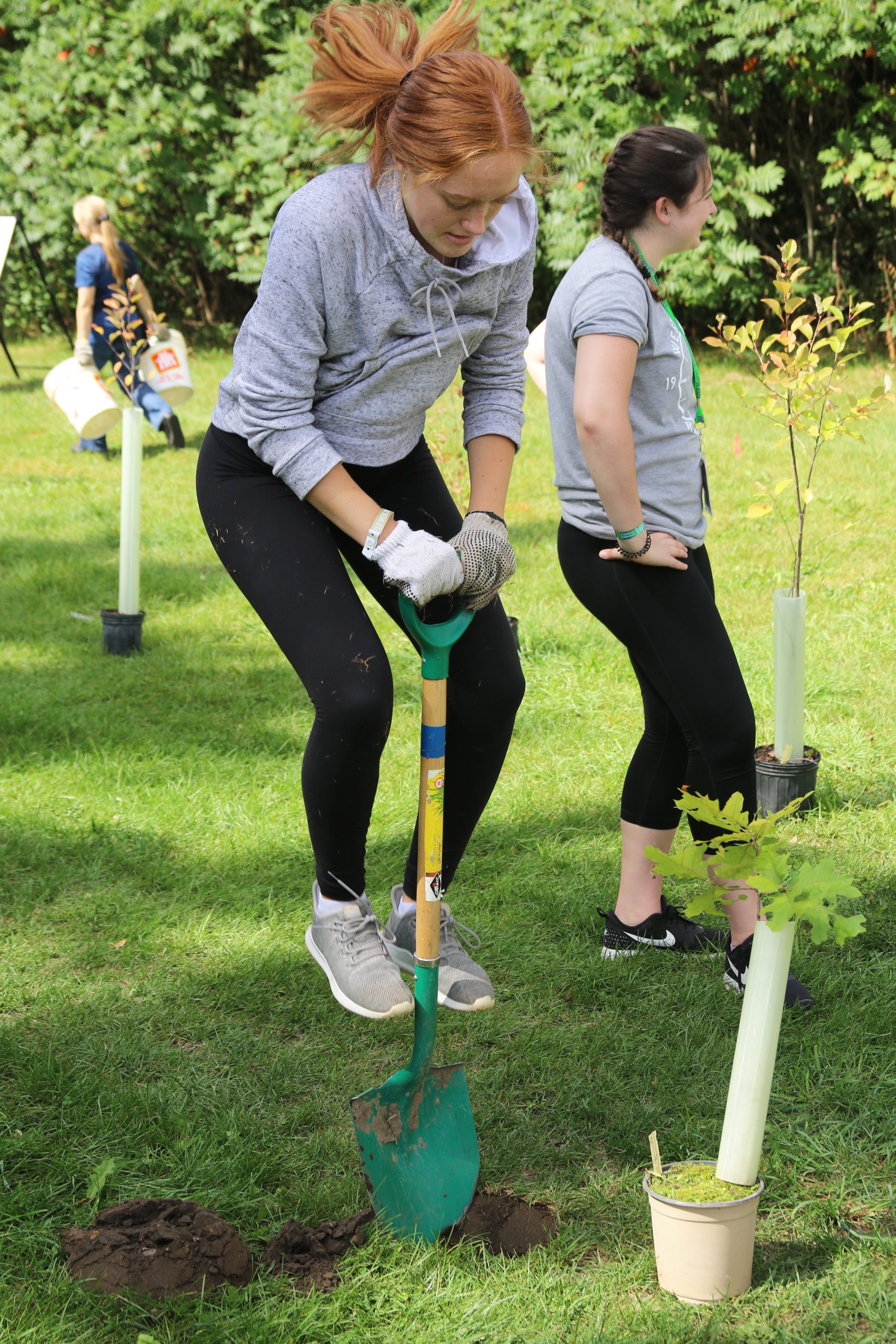 Tree Planter - ReForest London