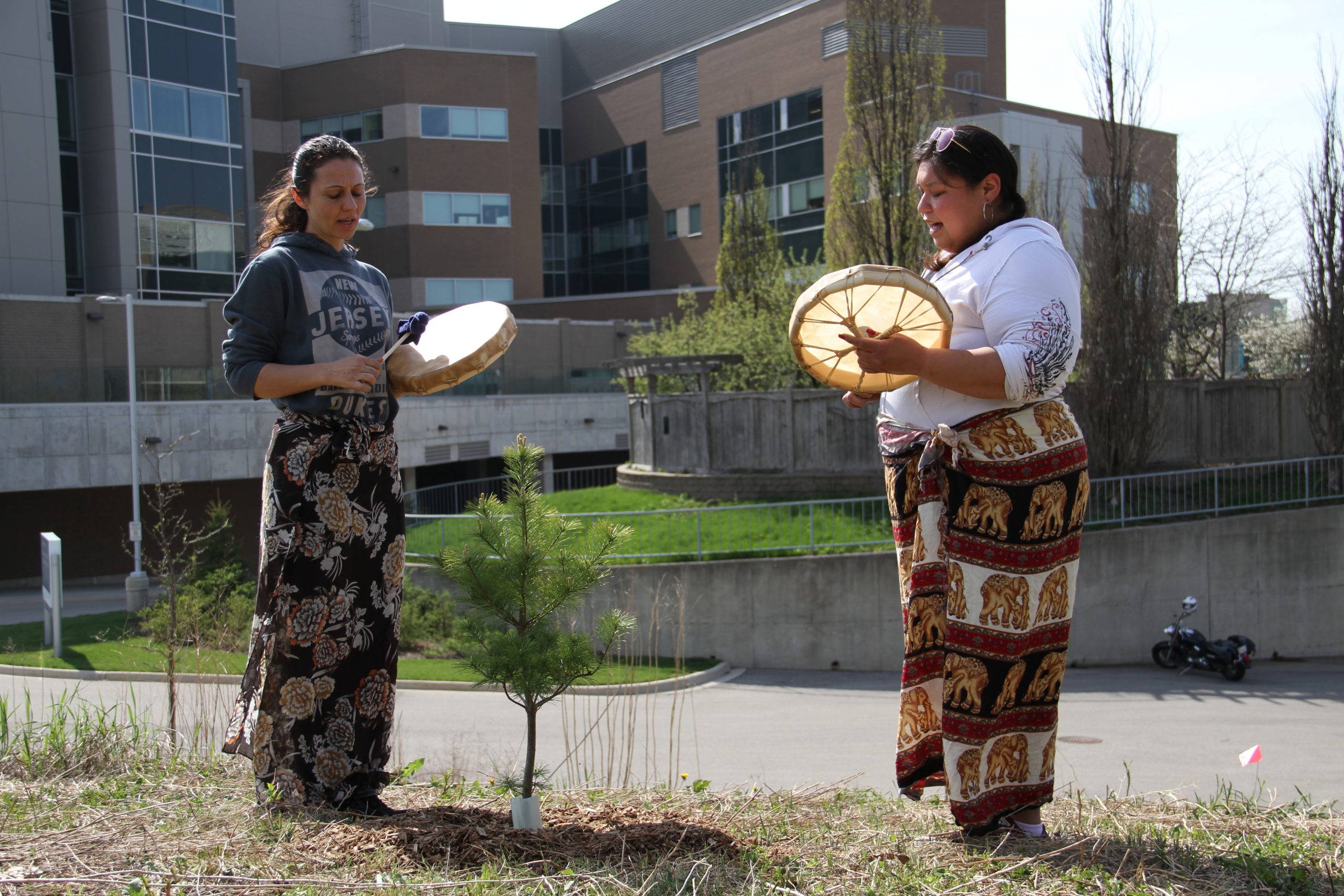 Celebration Forest Event 2018 - ReForest London