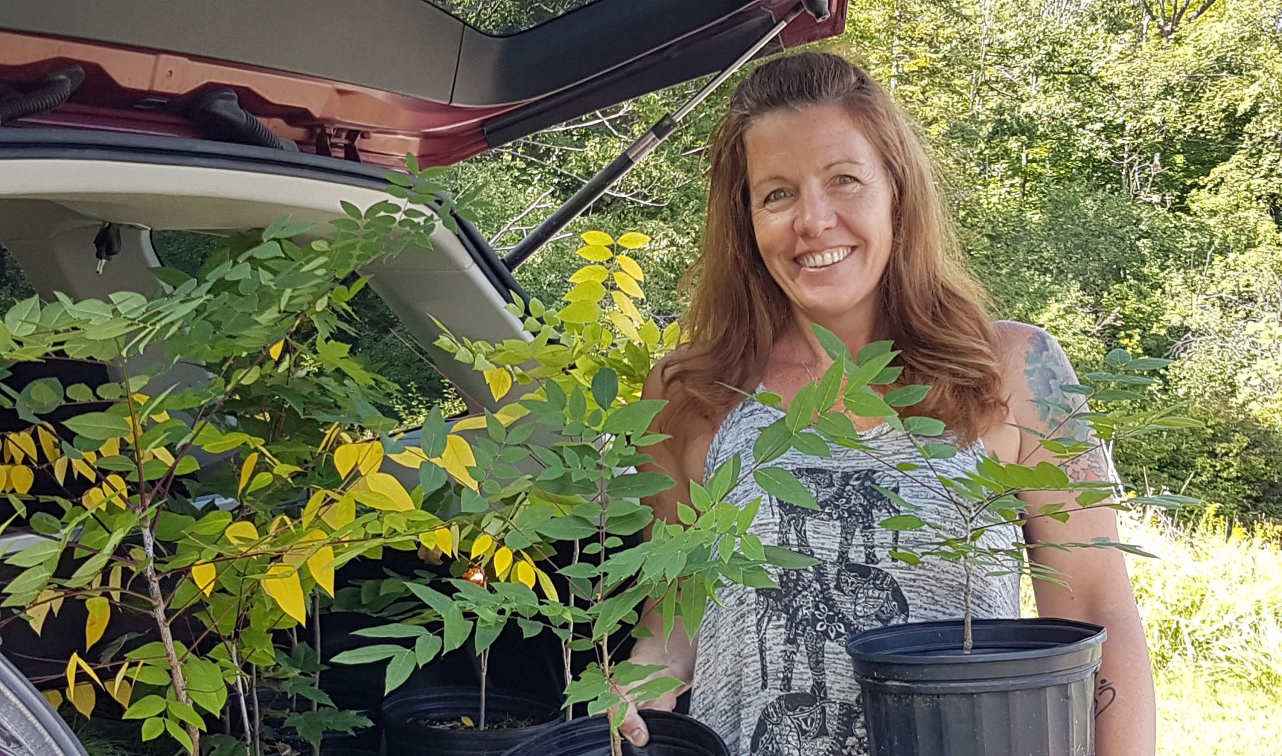 TreeCycle - ReForest London