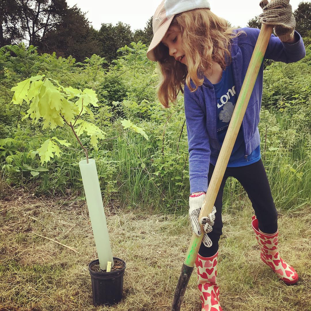 Canada Life Supports a Greener London - ReForest London