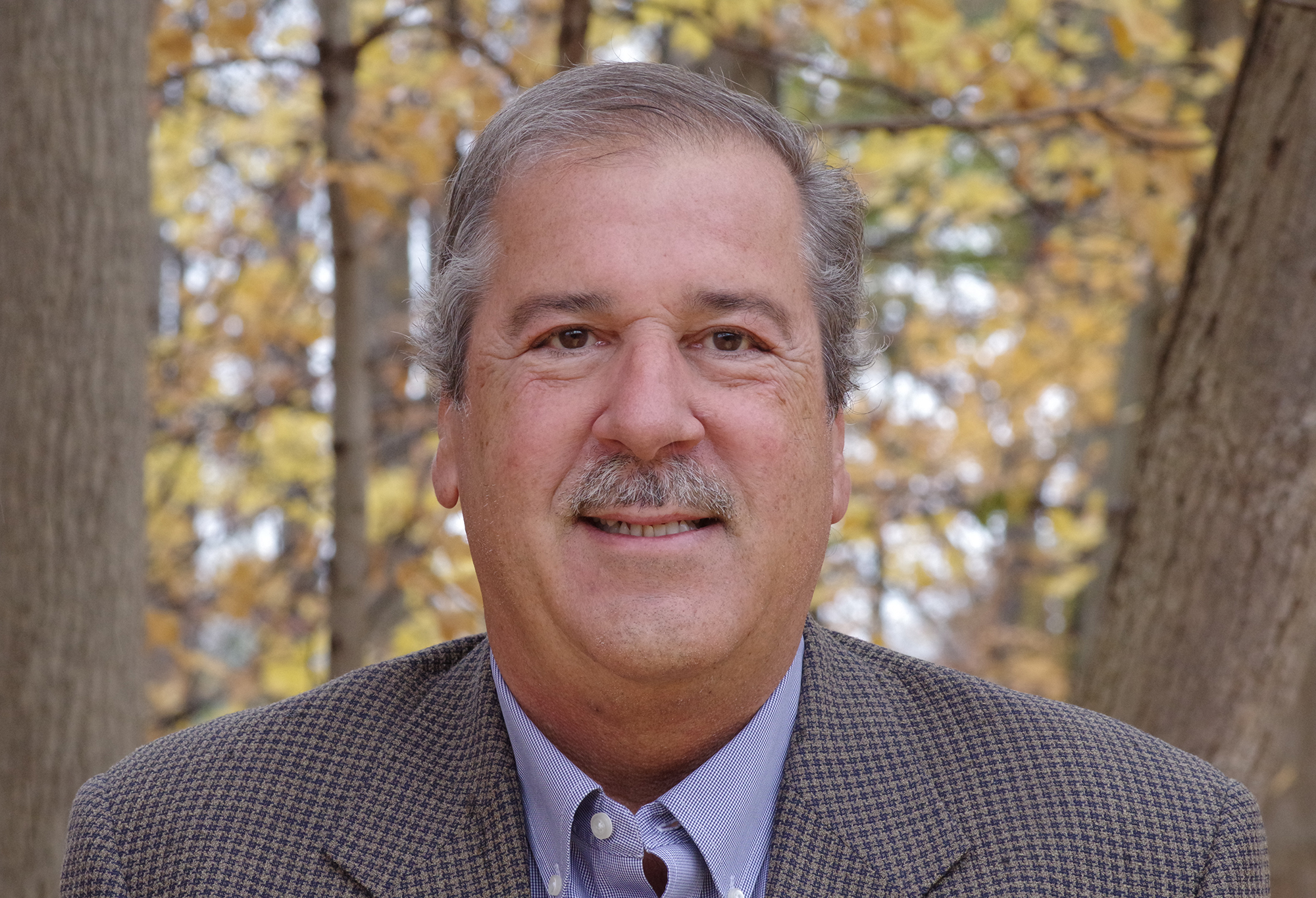 Tom Davis - ReForest London