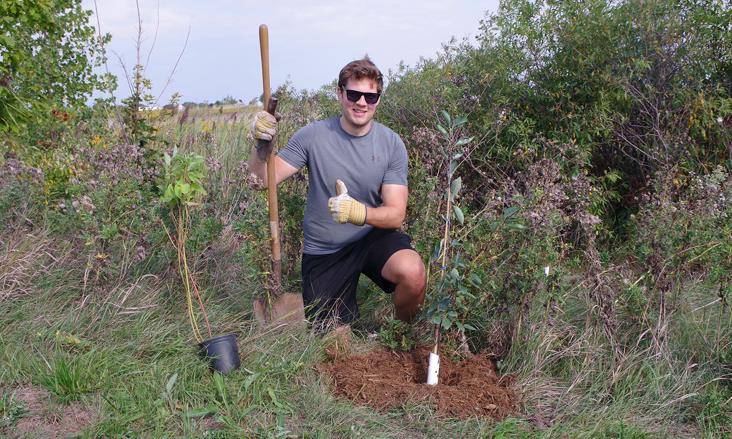 Businesses Step Up to Support Tree Planting - ReForest London