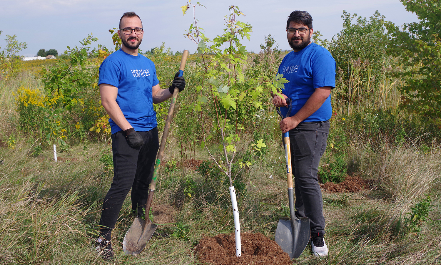 Businesses Step Up to Support Tree Planting - ReForest London