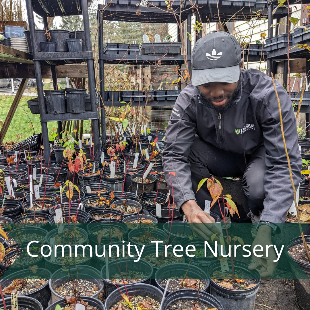 Growing Programs - ReForest London