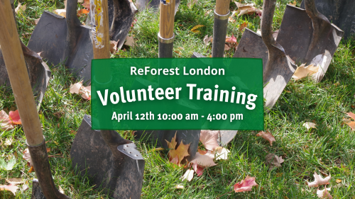 ReForest London