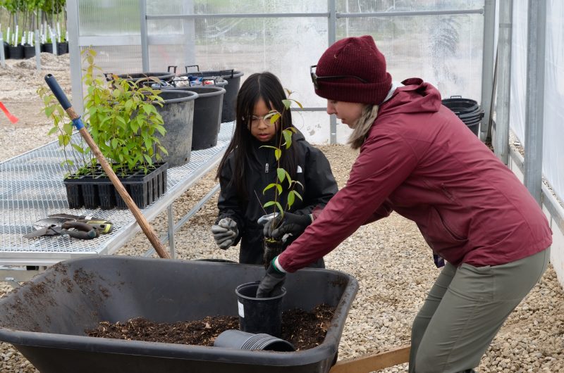 Community Tree Nursery - ReForest London